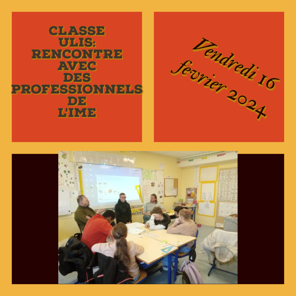 Classe ULIS : rencontre avec des professionnels de l’IME - Collège des ...