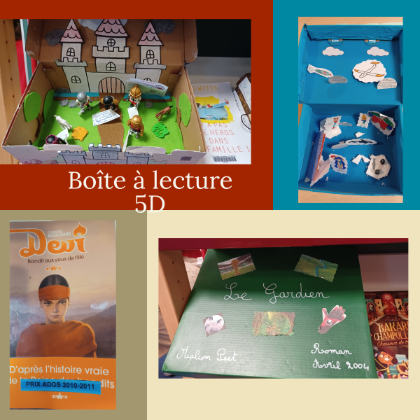 Des boîtes à lecture par les 5D - Collège des Livaudières